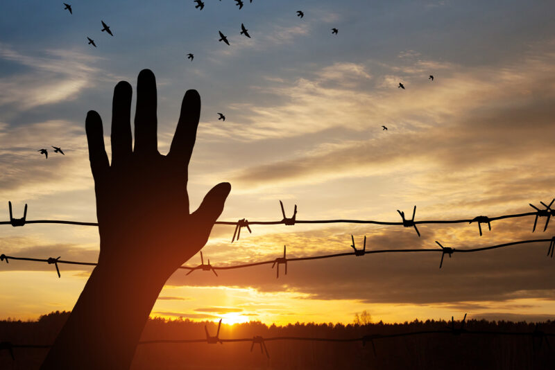 Horrors of the Holocaust: Nazi Germany's Jewish Genocide (1933-1945 ...