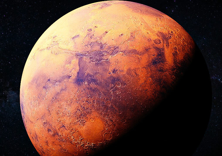 Tiny Mineral Flower Found on Mars - RobinAge