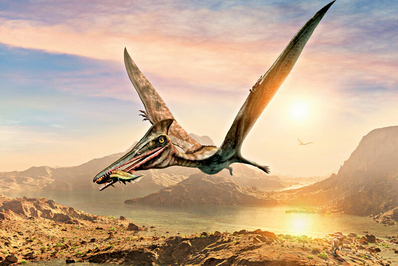 Cemetery of Flying Reptiles - RobinAge