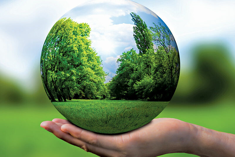 Government Launches Mascot for the Environment - RobinAge