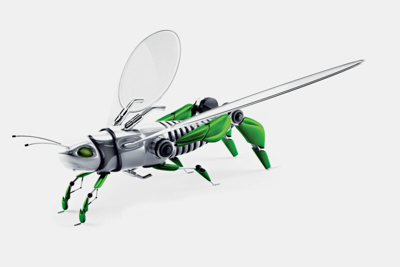 Tiny Robots Inspired by Bugs - RobinAge