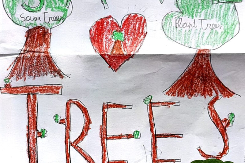 Save Trees - RobinAge