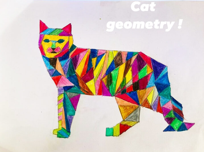 Cat Geometry - RobinAge
