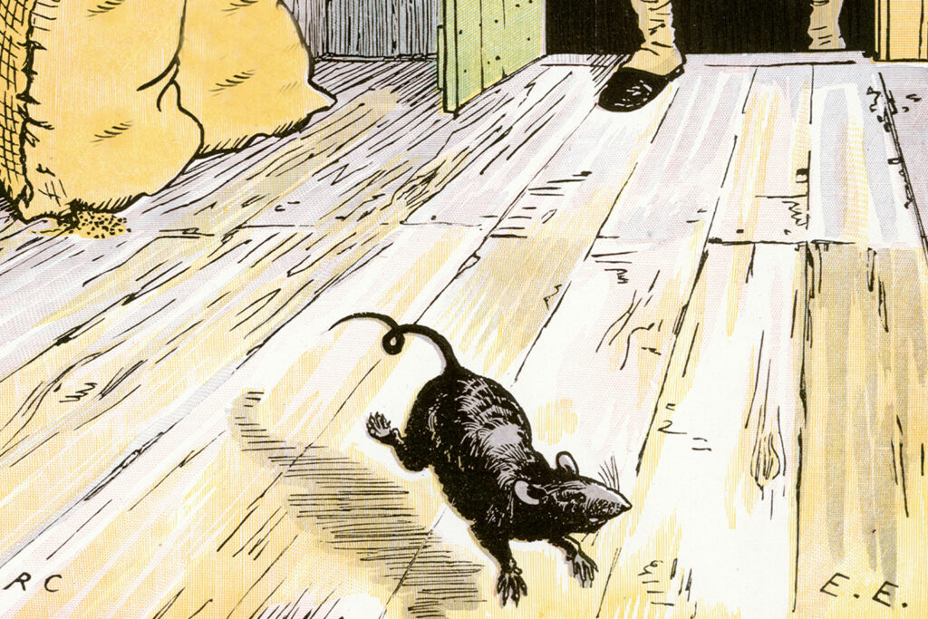 Grandma’s Tales: The Story of Mice - RobinAge