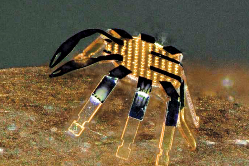 World’s Smallest Remote-controlled Robots - RobinAge
