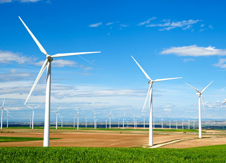 Wind Energy: Fast Facts - RobinAge