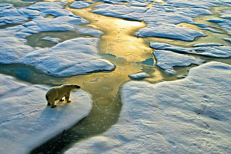 The Ice Warming Cycle - RobinAge