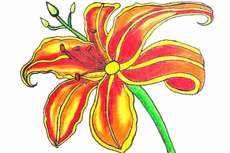 Georgia O'Keeffe Flower - RobinAge