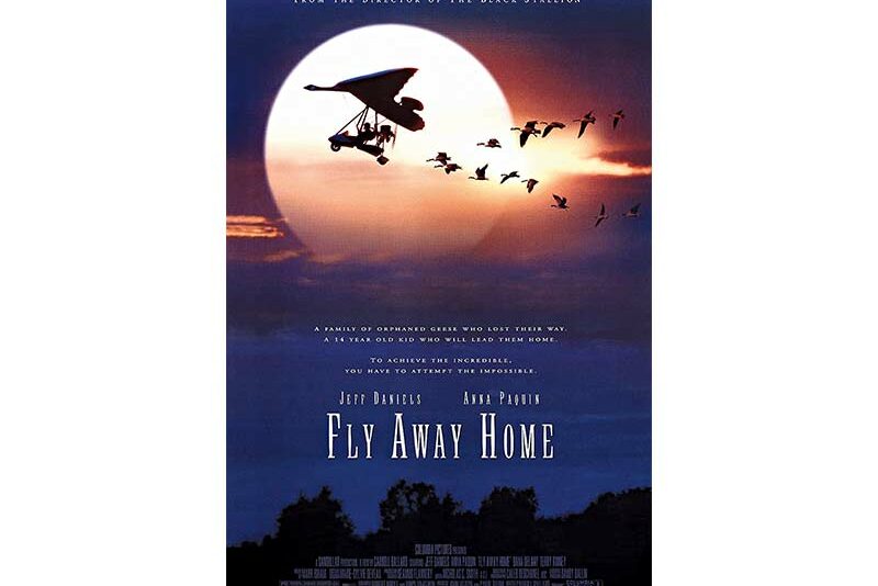 Fly Away Home - RobinAge