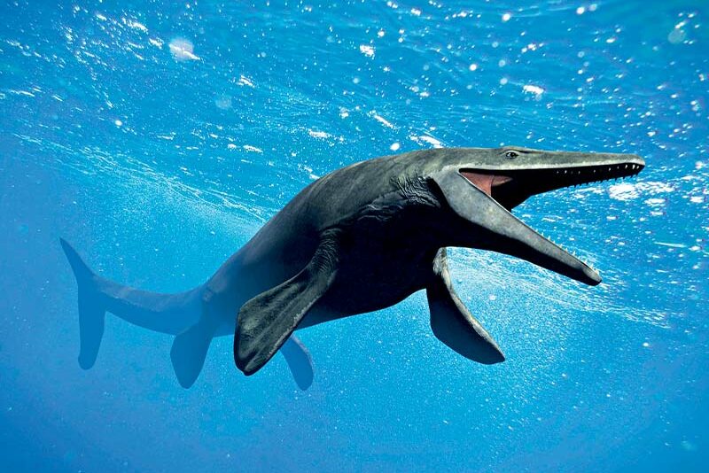 Fossil of Huge Sea Lizard Found - RobinAge