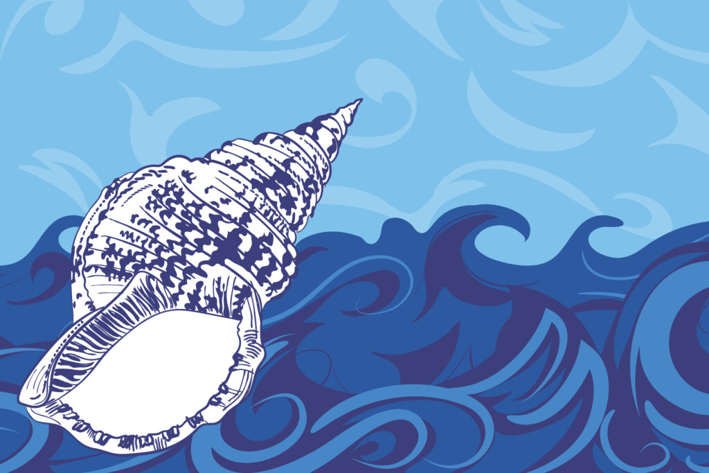 Rib Cage like a Conch Shell - RobinAge