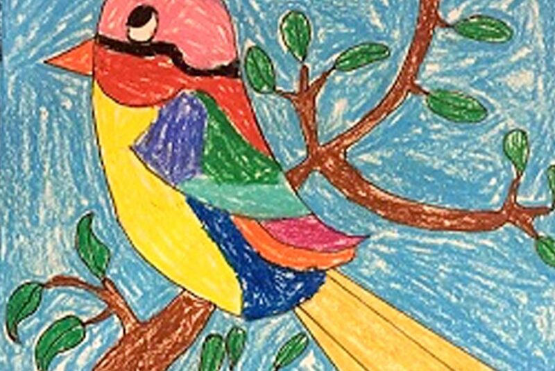 Morning Colour Bird - RobinAge