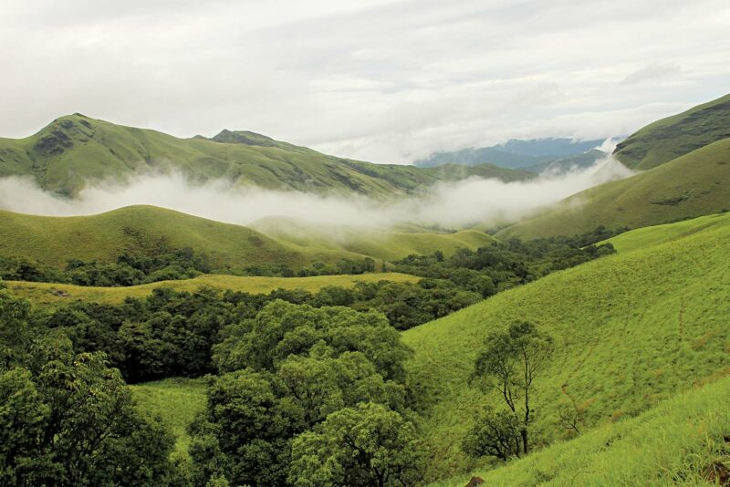 The Overhead Tank - RobinAge
