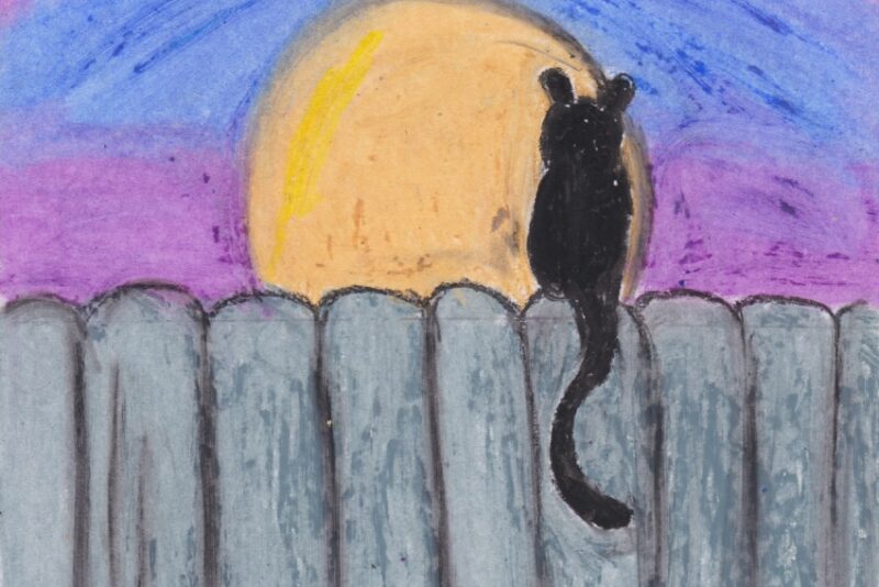 Nightscape - RobinAge