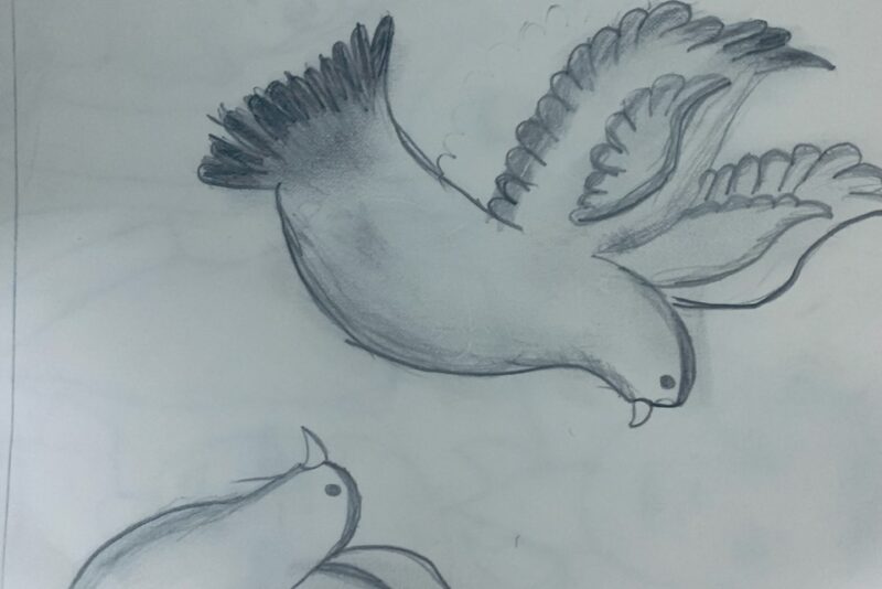 Free birds - RobinAge