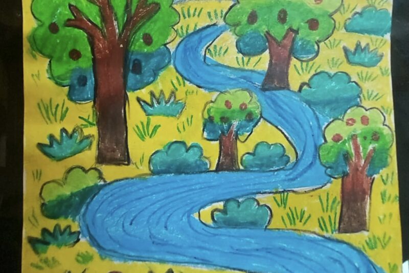 Nature Around Us - RobinAge