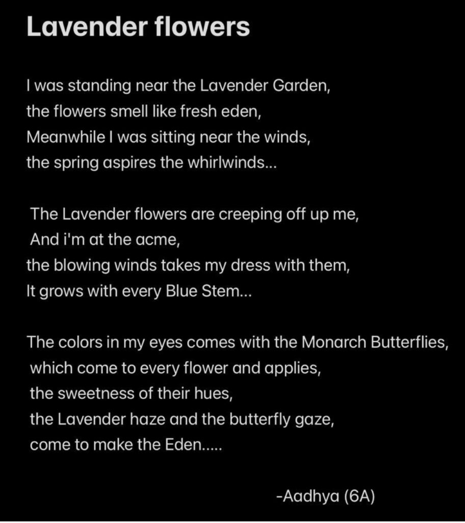 Lavender Flowers - RobinAge