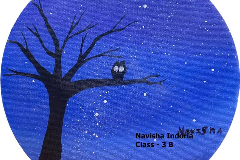 Owl At Night Robinage