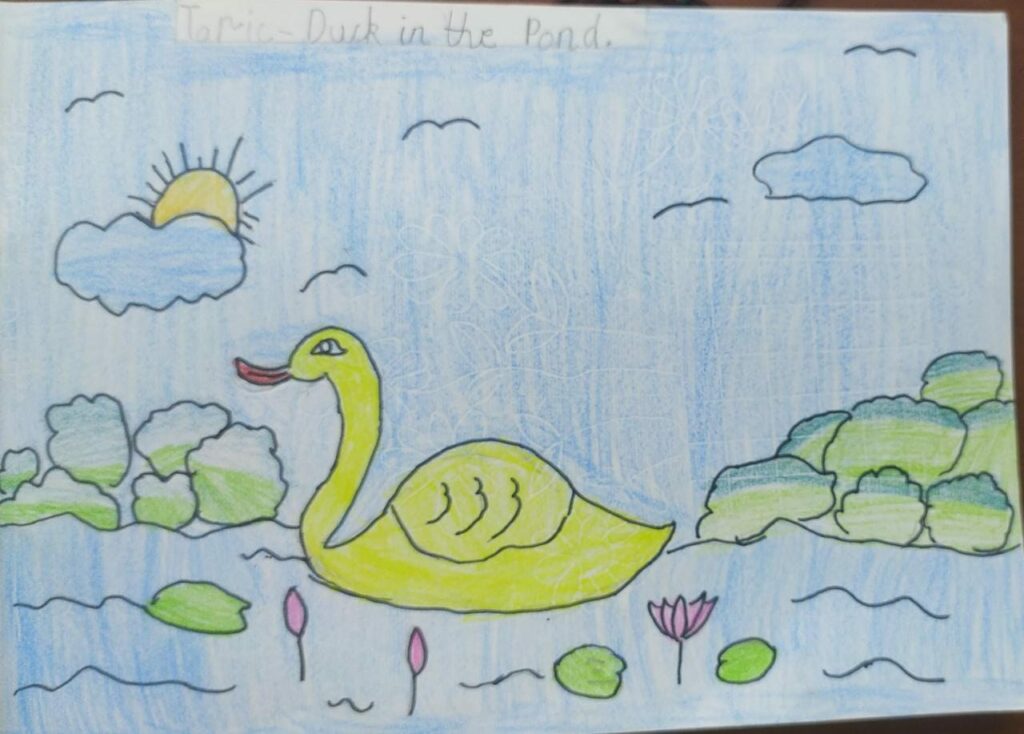 Duck in the Pond - RobinAge