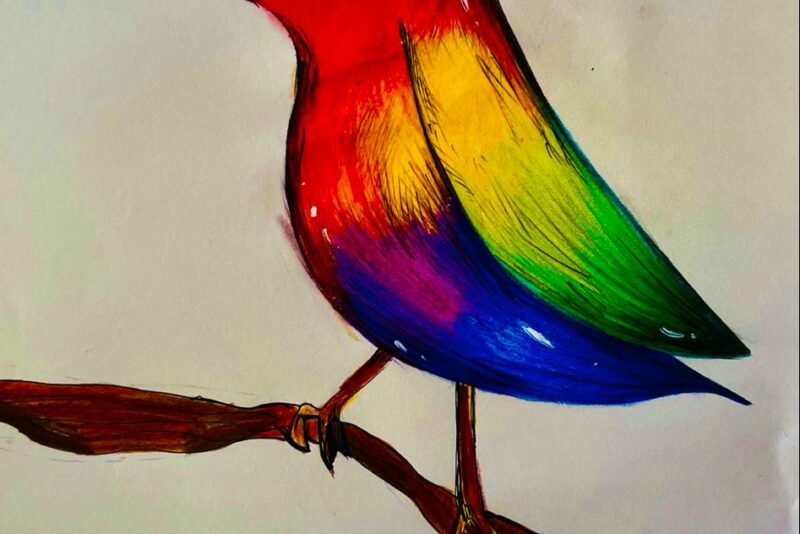 Rainbow Bird - RobinAge