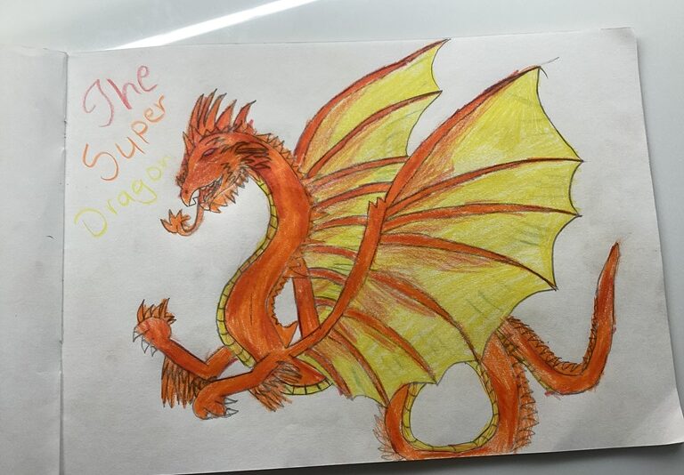 Coloring Drawing - RobinAge