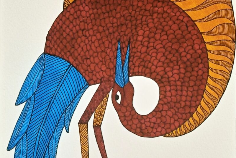 Gond Art - Peacock - RobinAge