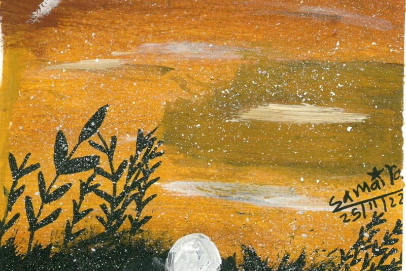 Sunset Colours - RobinAge