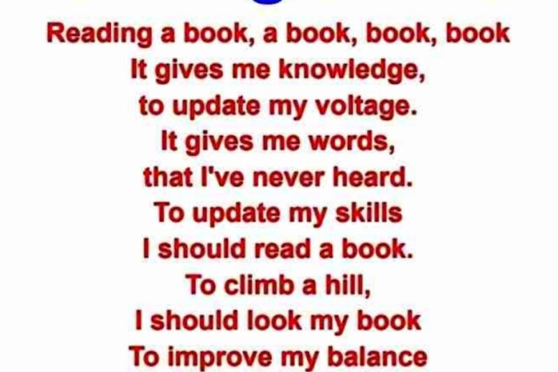 Reading a Book - RobinAge