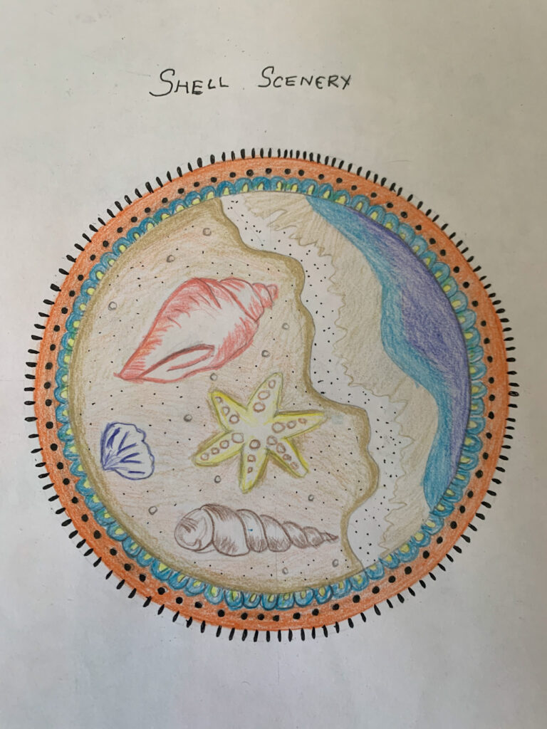 Shell Scenery - RobinAge