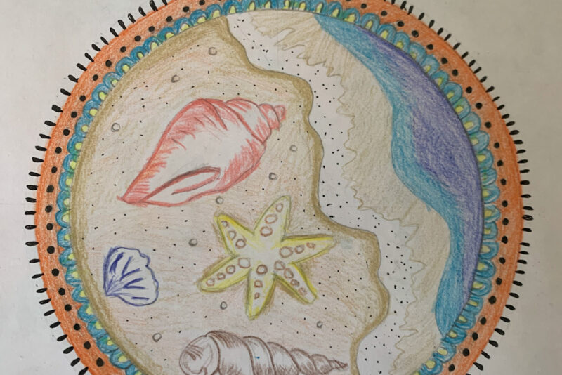 Shell Scenery - RobinAge