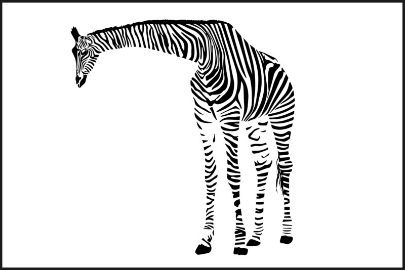 The Paradise Jungle - RobinAge