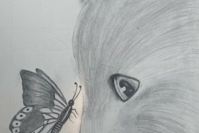 Best Friends - RobinAge