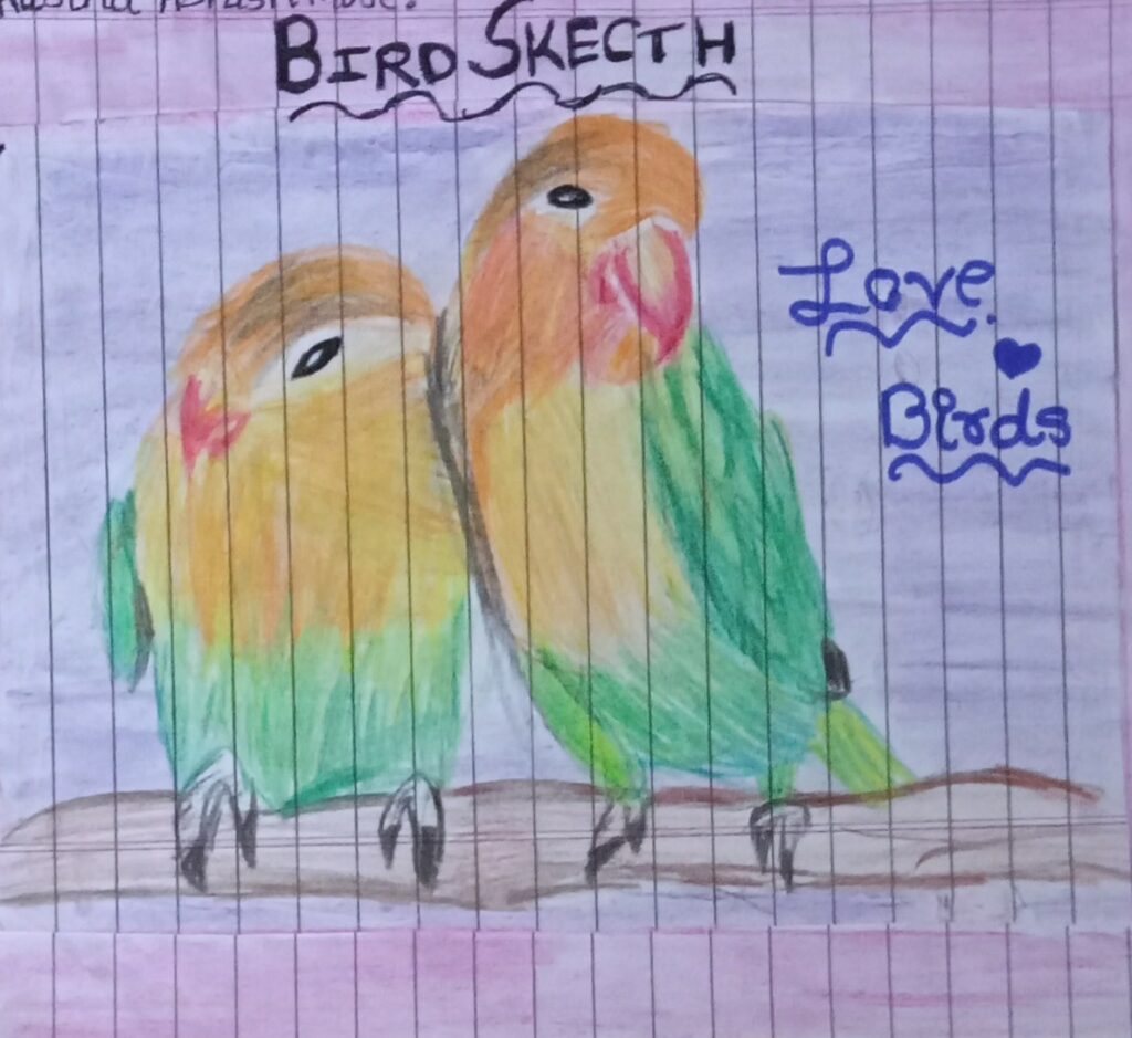 Love Birds - RobinAge