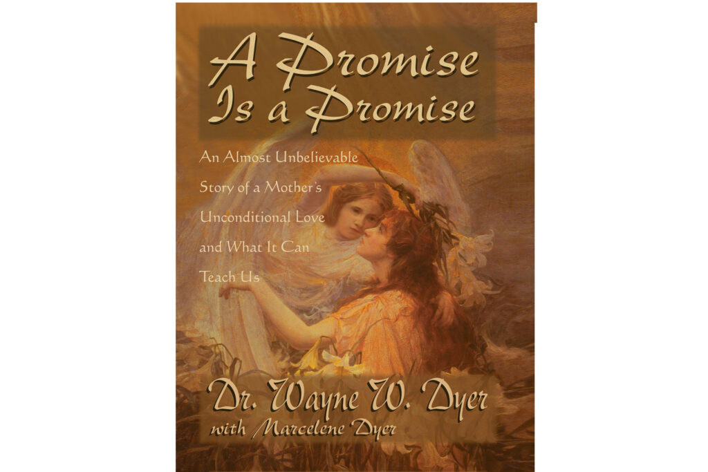 Book Review: A Promise is a Promise - RobinAge