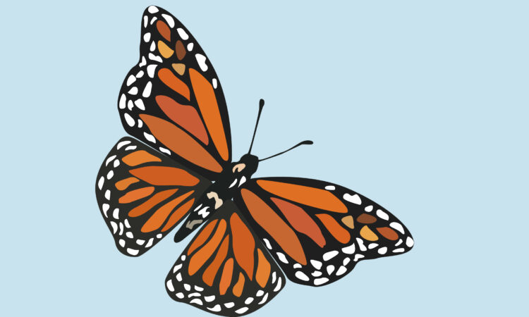 The Night Sky - RobinAge