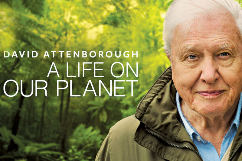 5 Movies to Watch This World Environment Day - RobinAge