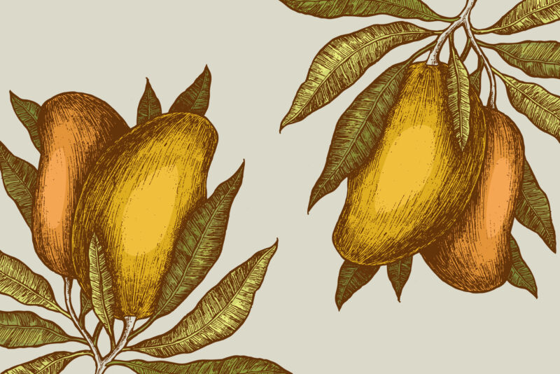 The Mighty Mangoo - RobinAge