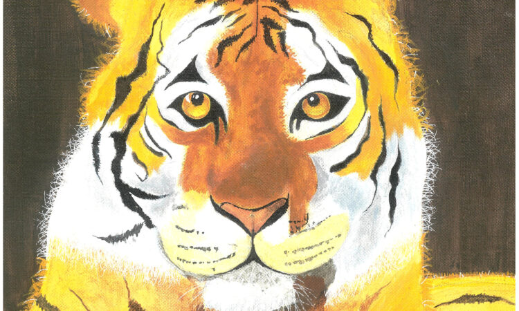 Lightyear - RobinAge