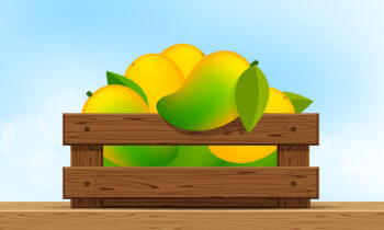 Lusciousness of Mangoes - RobinAge