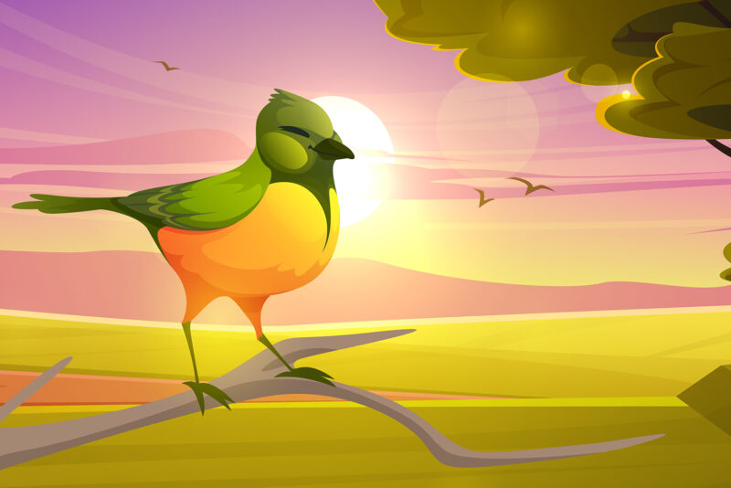 The Little Bird - RobinAge