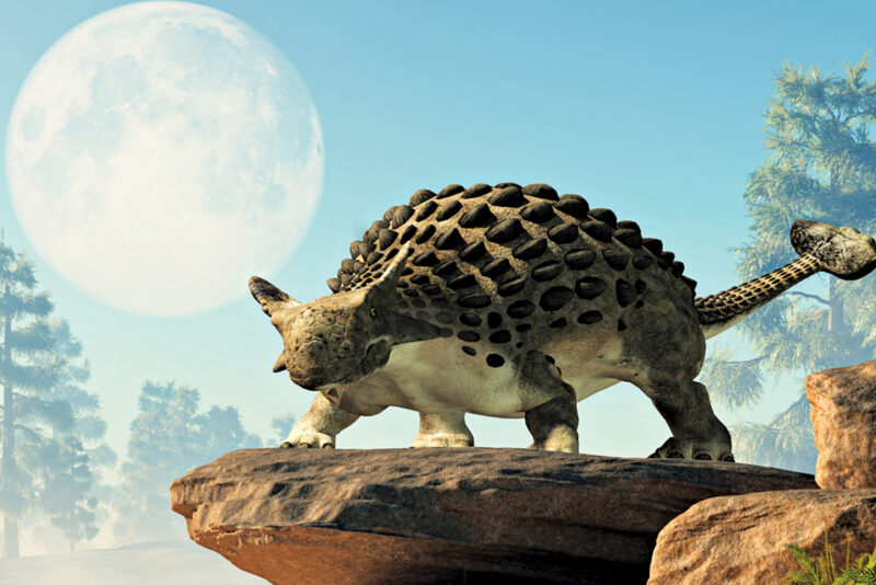 New Dinosaur Species Discovered - RobinAge