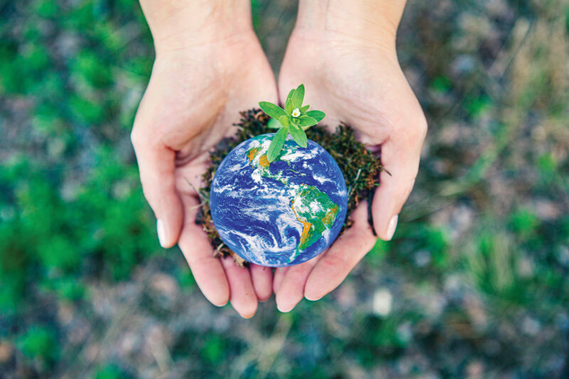 Live Life Green - RobinAge