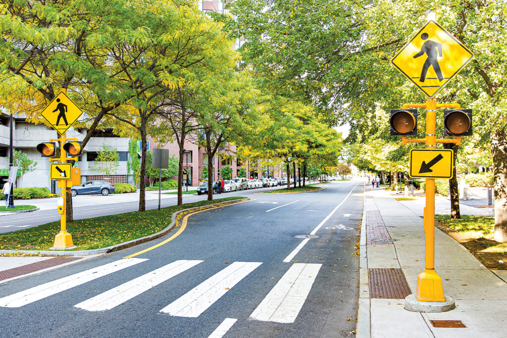 Smart Pedestrian Crossing System - RobinAge