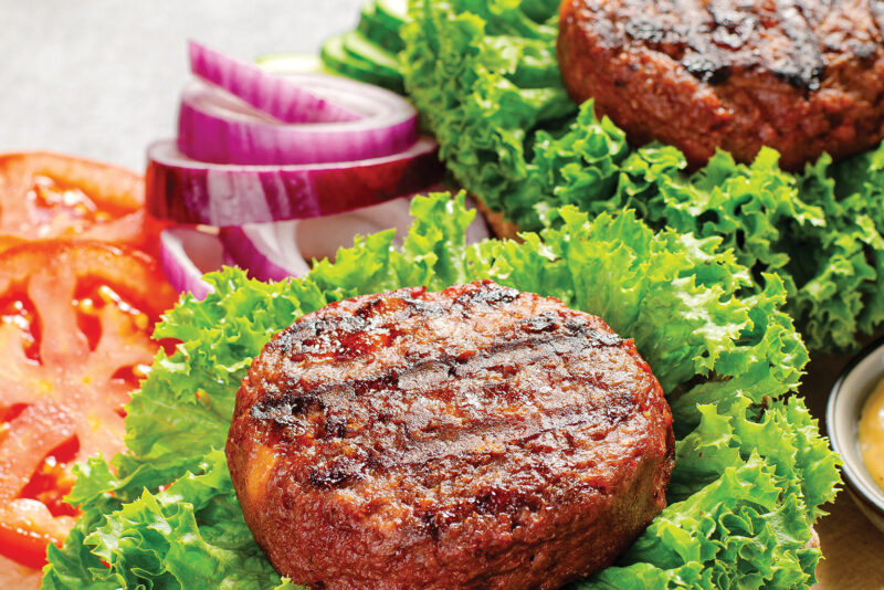 Transforming Plant-based Meat - RobinAge