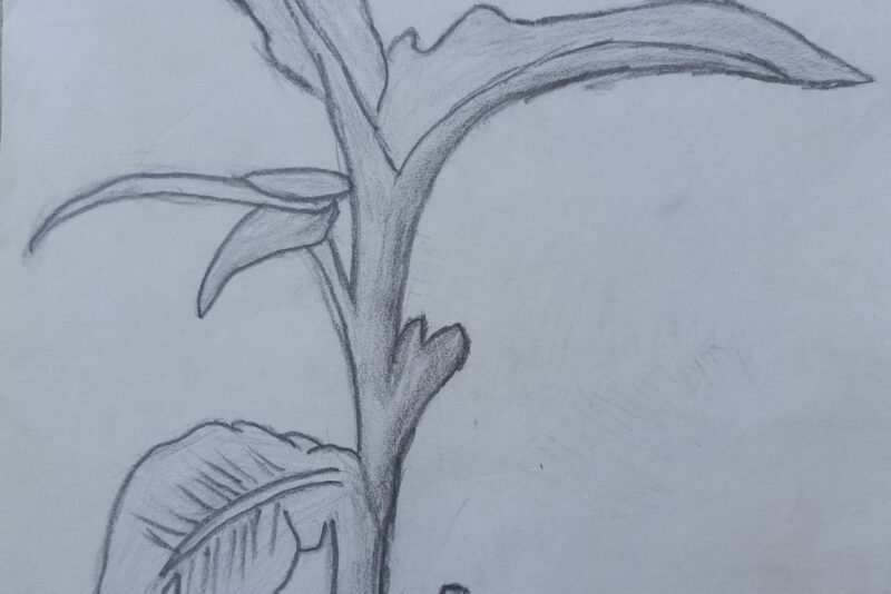 Air Sketch - RobinAge