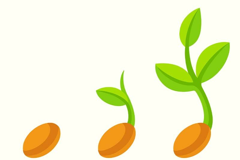 The Sprout - RobinAge