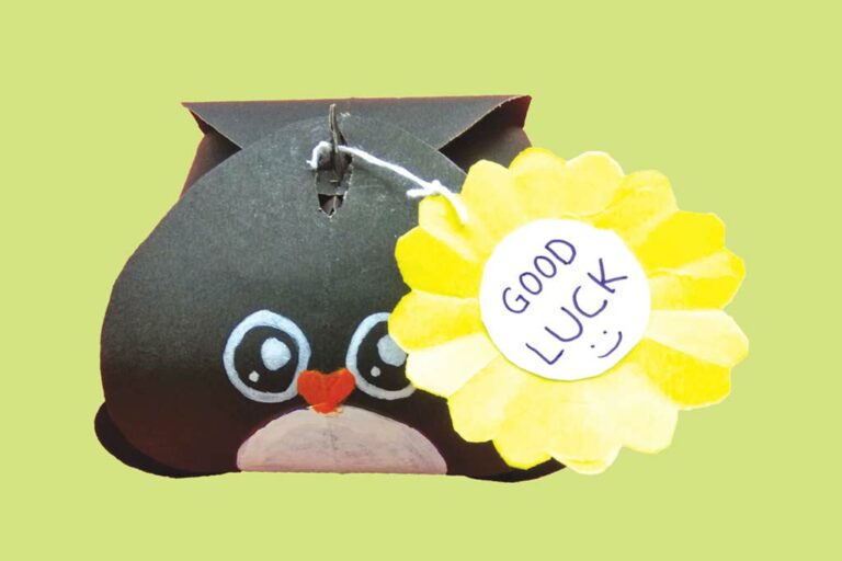 Penguin Gift Box - RobinAge