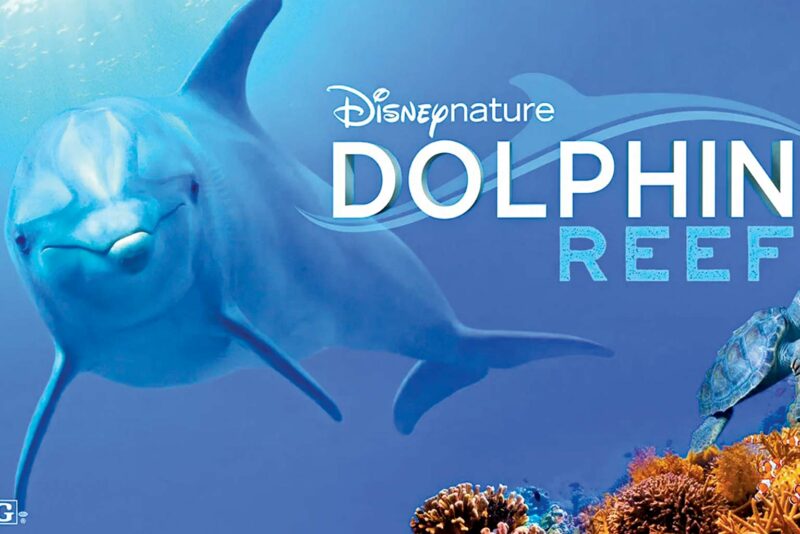 Dolphin Reef - RobinAge