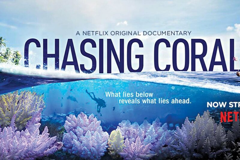 Chasing Coral - RobinAge