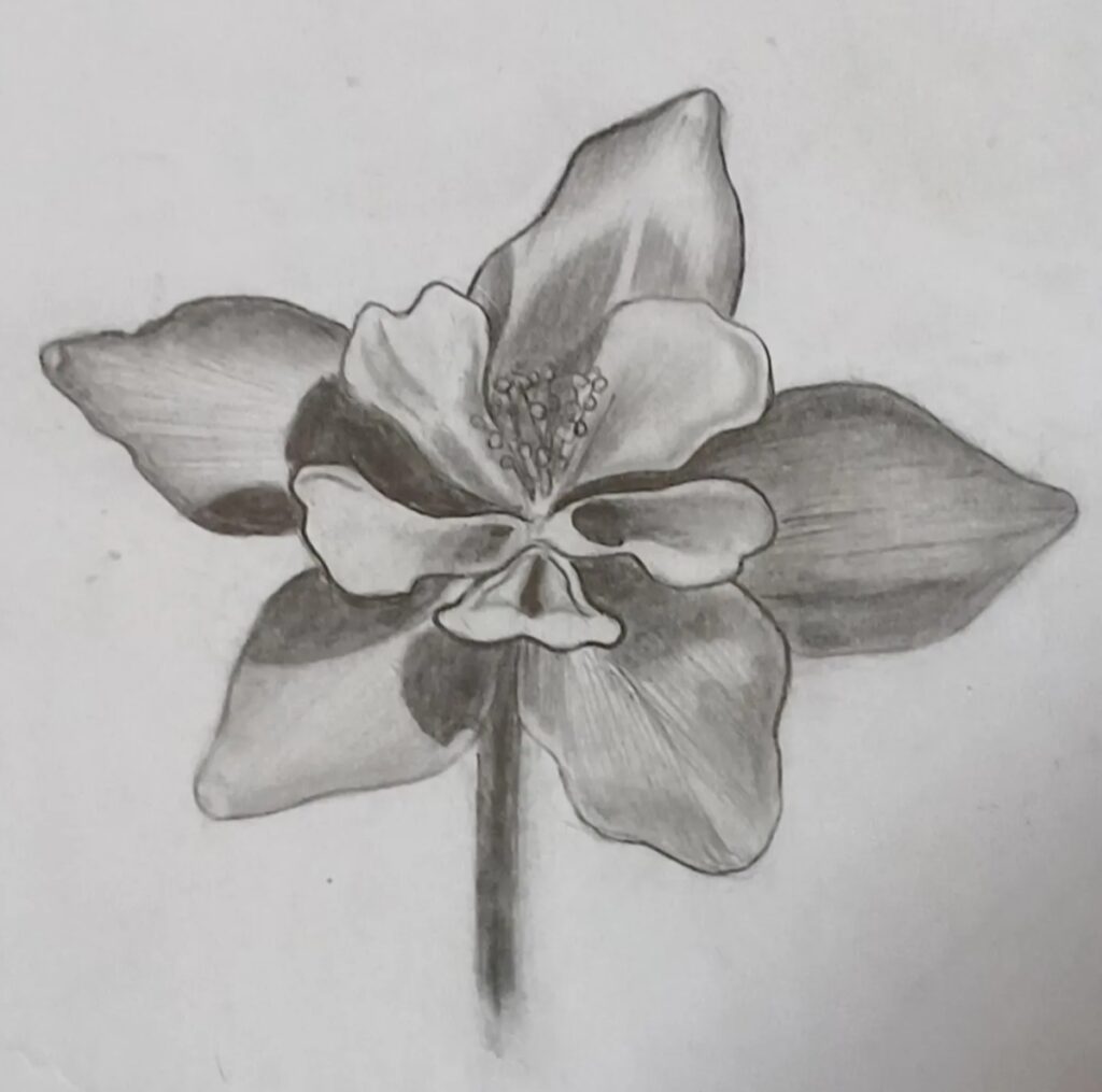 3D Flower - RobinAge